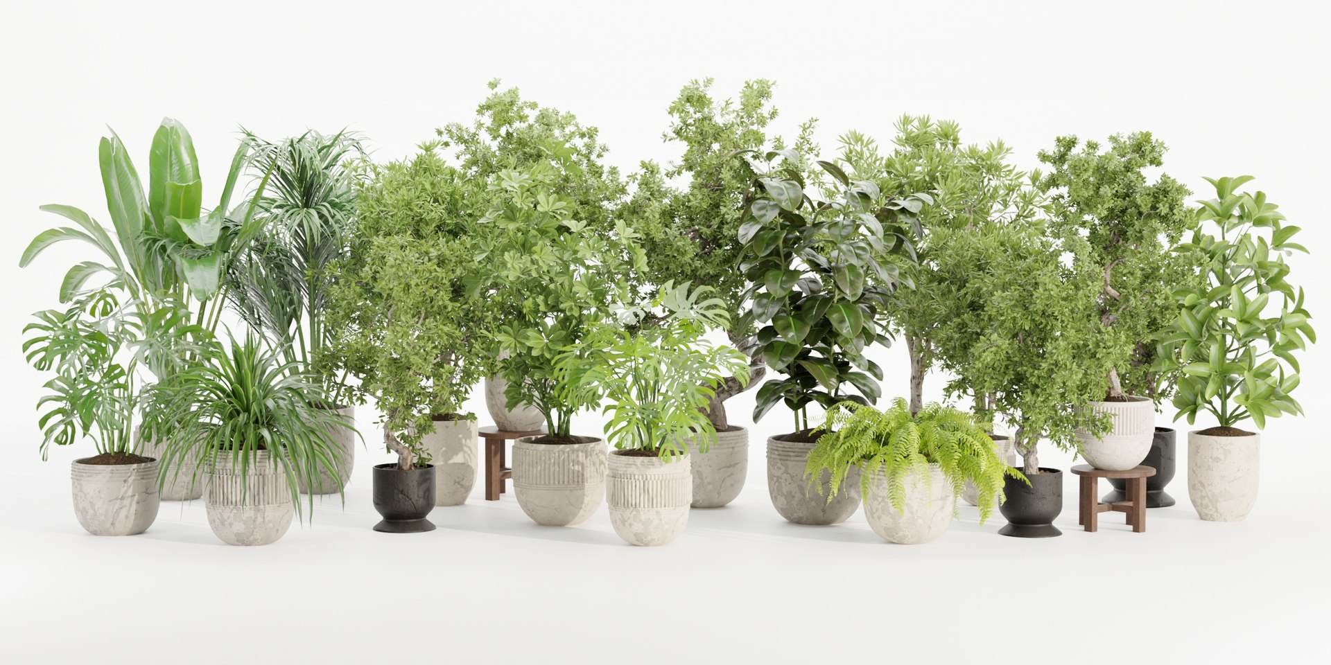 3D Plants Collection-Blender 3D Model - TurboSquid 2144548