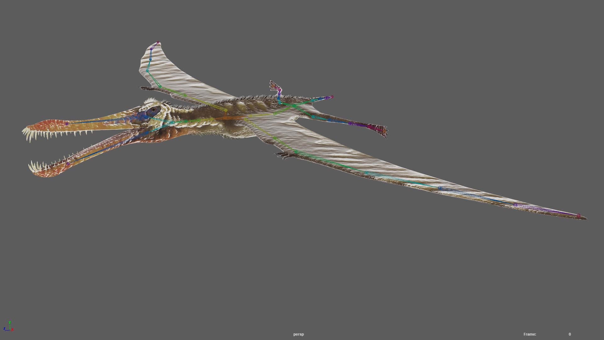 3D Dimorphodon Pterosaur Basic Rigged - TurboSquid 1971238