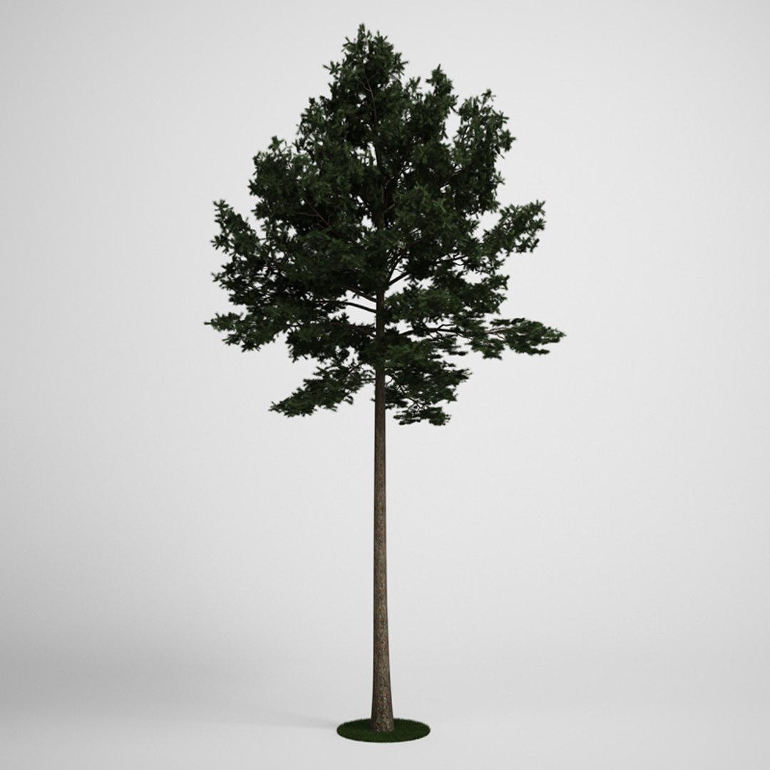 c4d tree