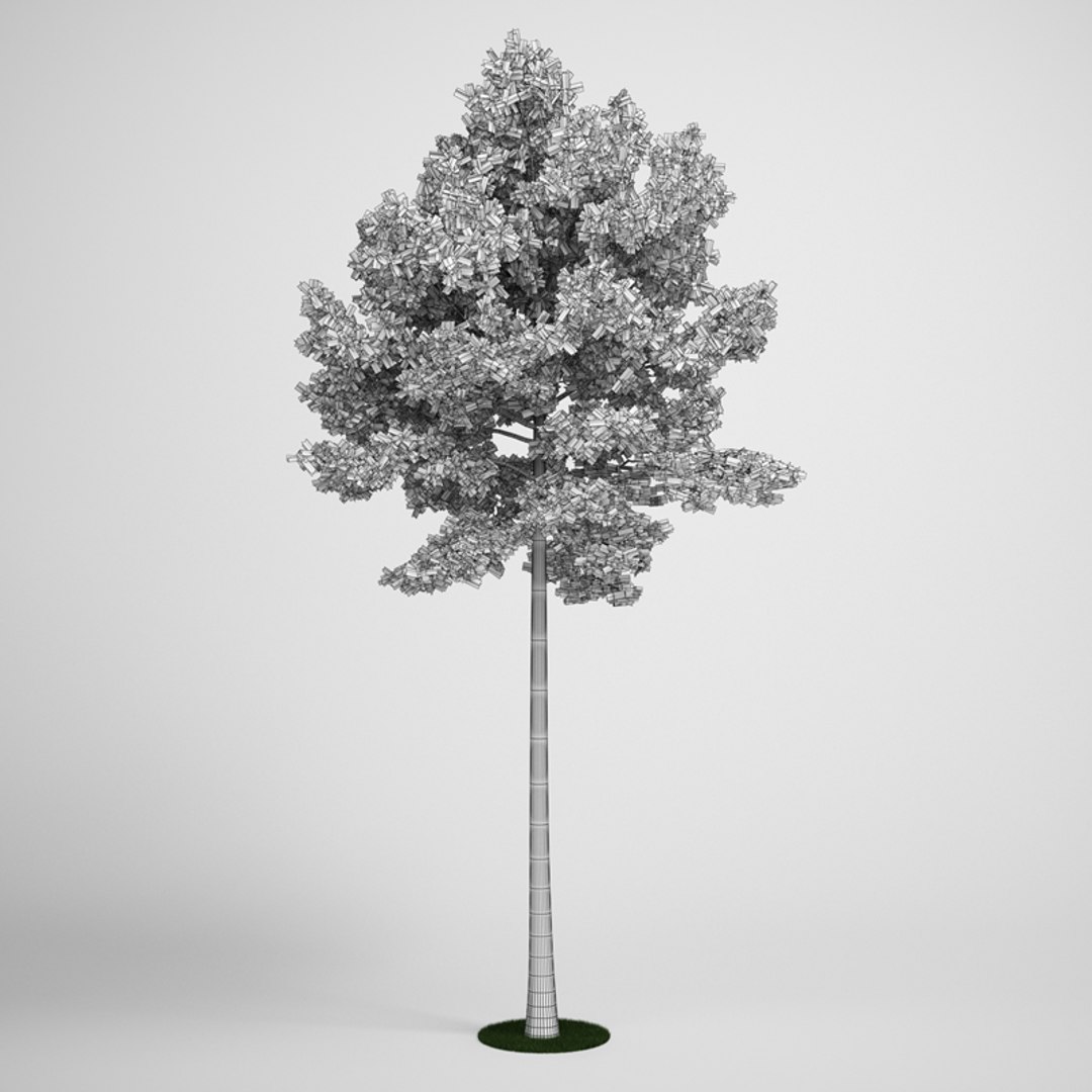 c4d tree