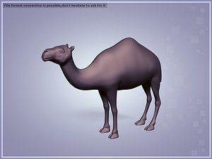Camel Blender Models for Download | TurboSquid