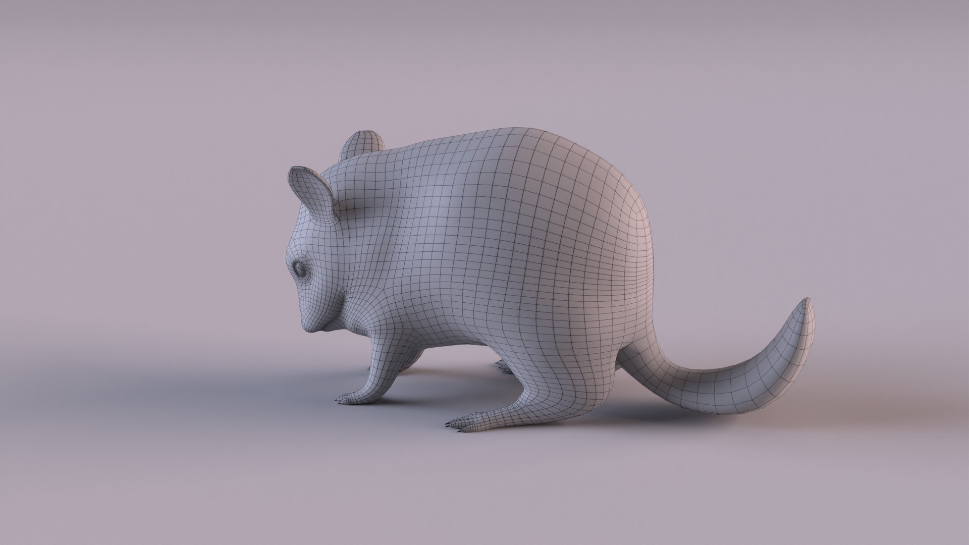 Animal Rodent Mammal 3D Model - TurboSquid 1635259