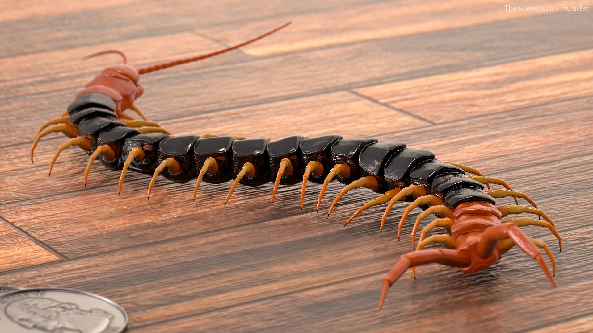 Giant Desert Centipede Rigged 3D Model - TurboSquid 1566836