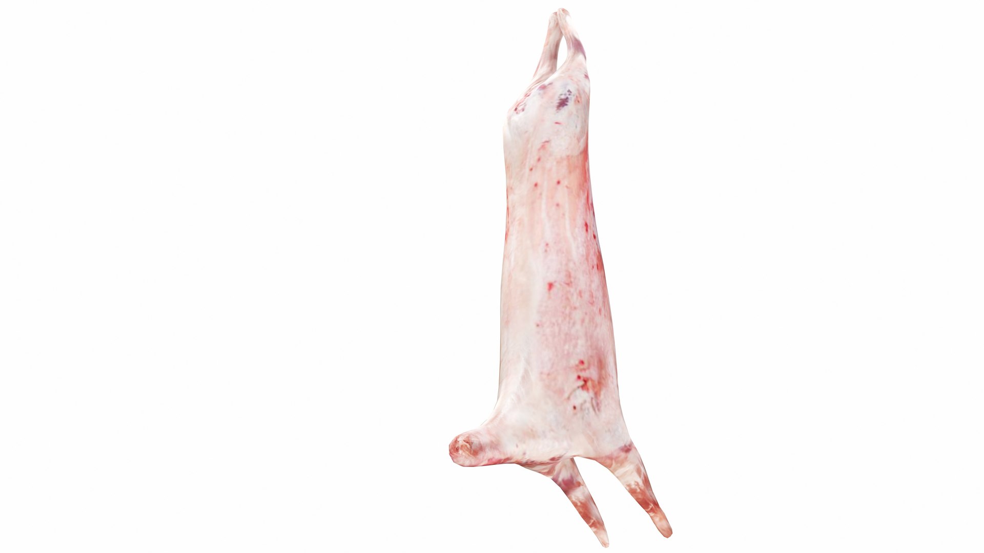 3D Carcass Meat Collection - TurboSquid 2391057
