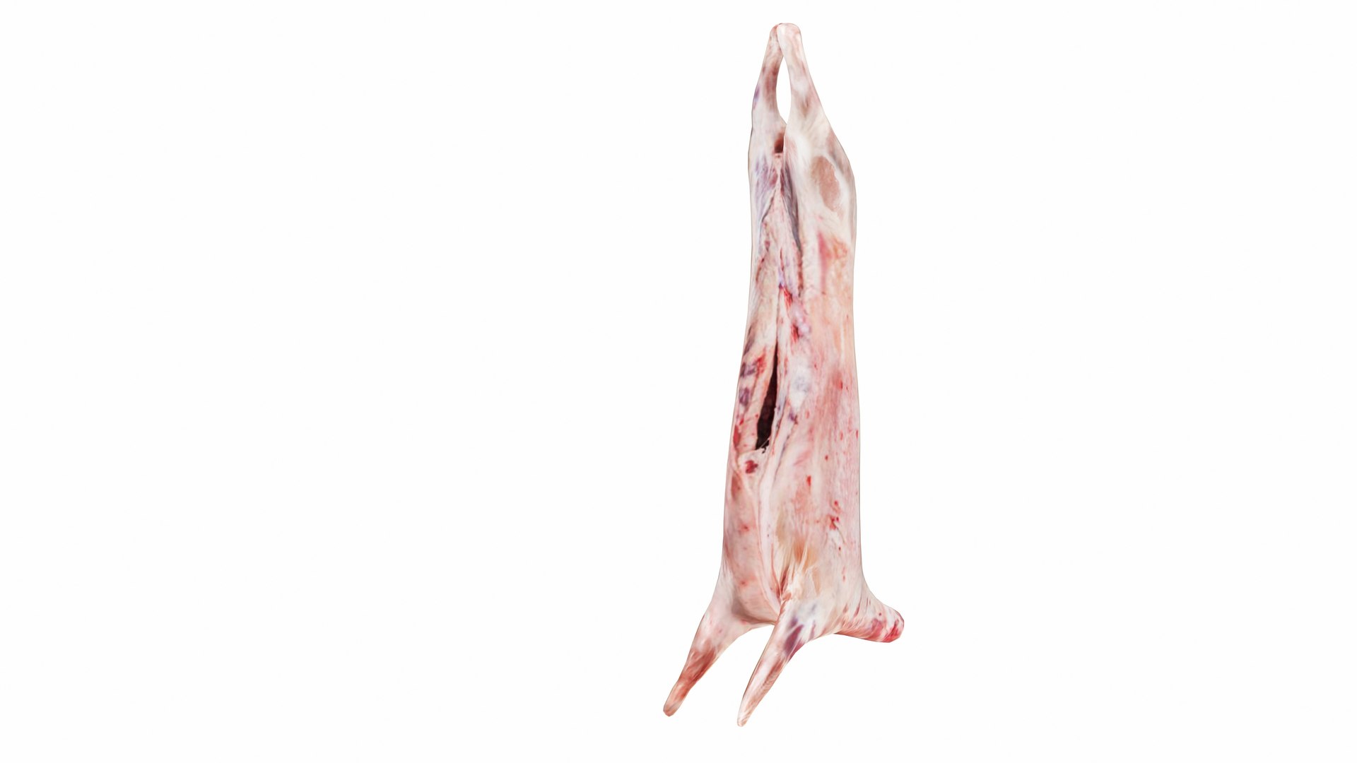 3D Carcass Meat Collection - TurboSquid 2391057