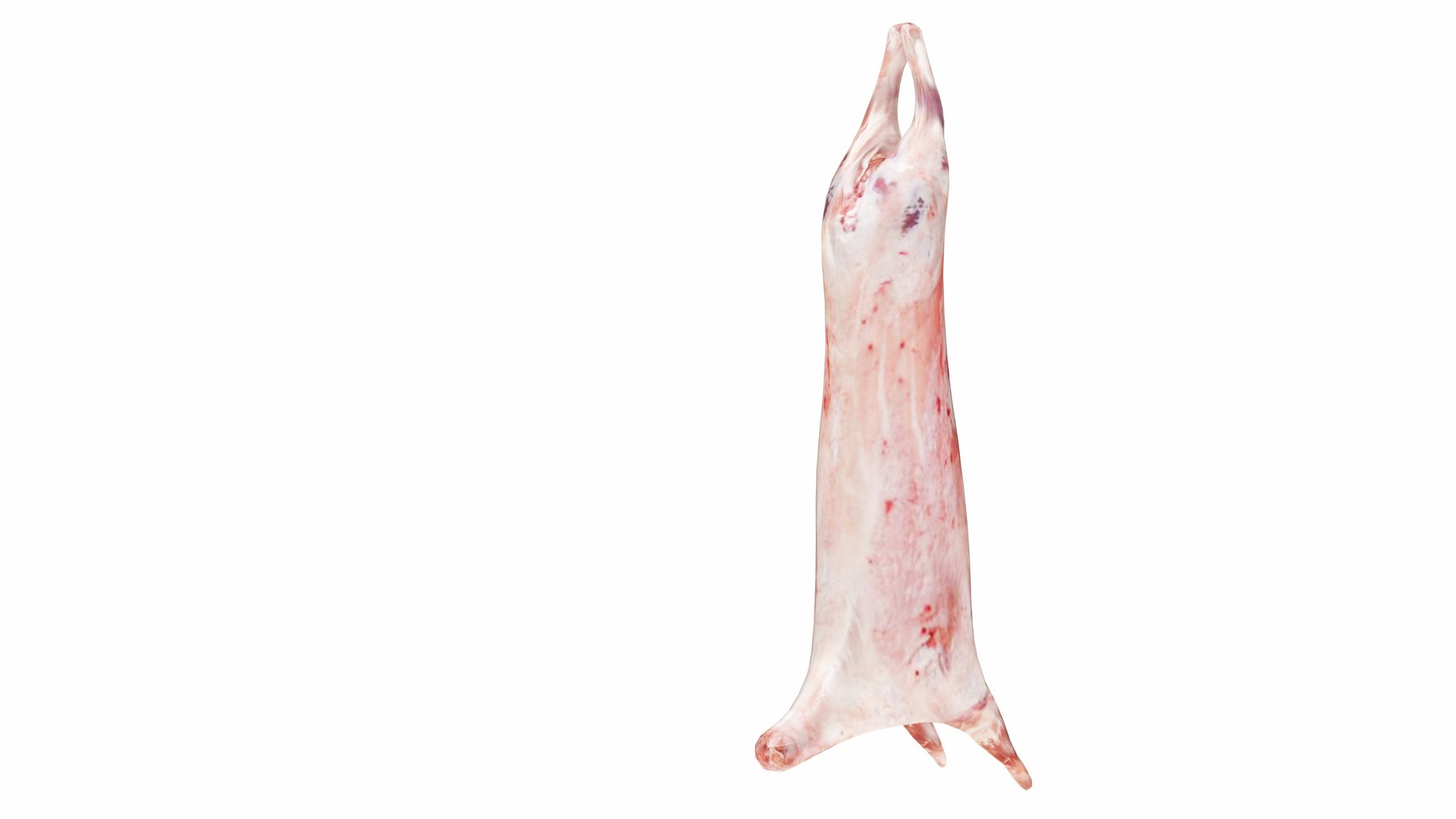 3D Carcass Meat Collection - TurboSquid 2391057