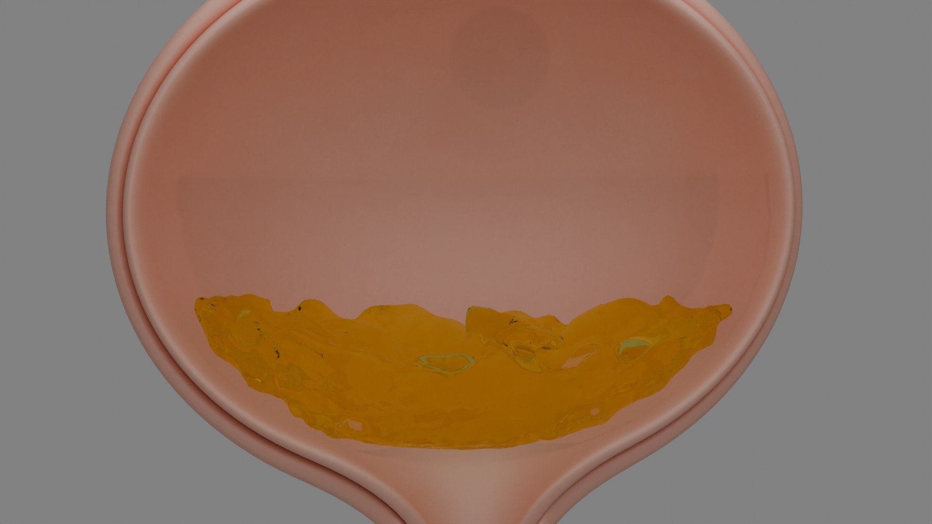 Urinary Track 3D Model - TurboSquid 2305498