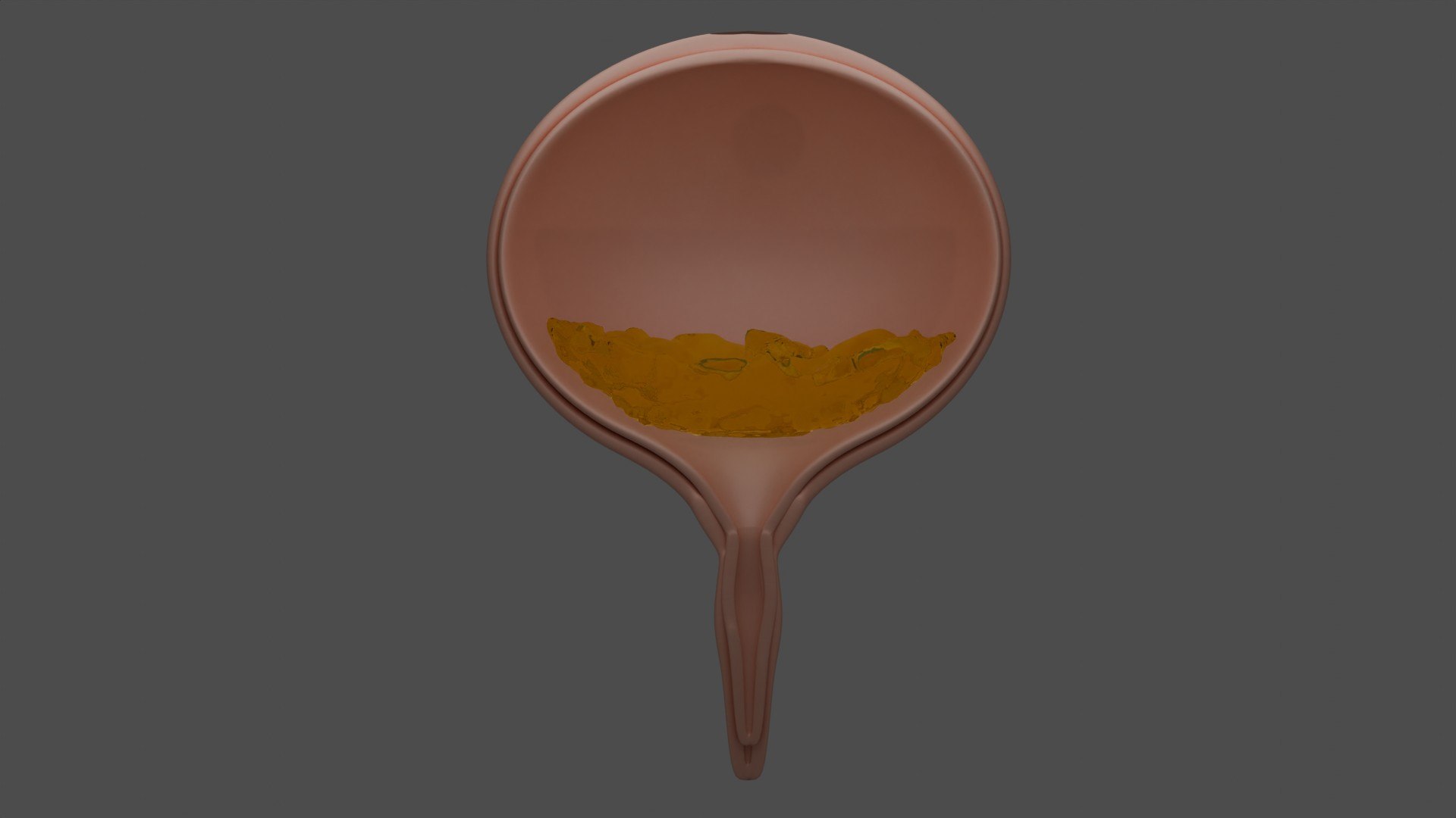 Urinary Track 3D Model - TurboSquid 2305498