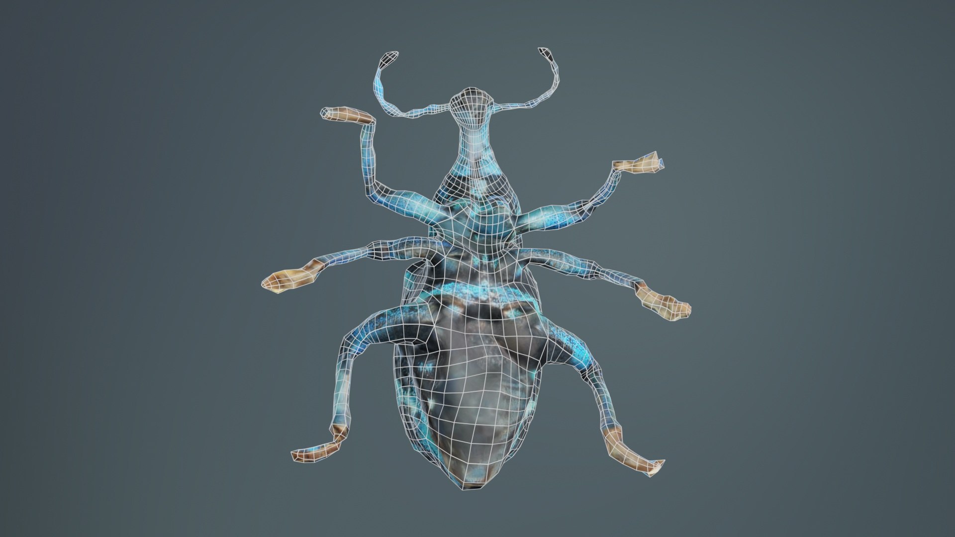 3D Eupholus Quinitaenia Remastered - TurboSquid 2359757