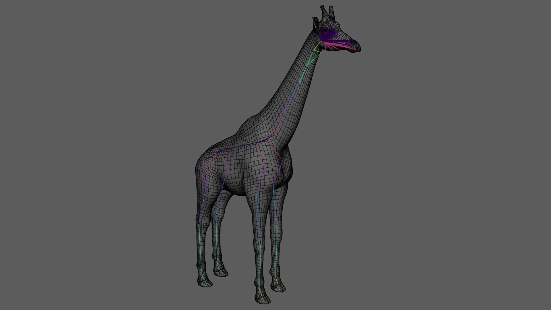 3D GIRAFFE XGEN-CORE ANIMATED - TurboSquid 2253818