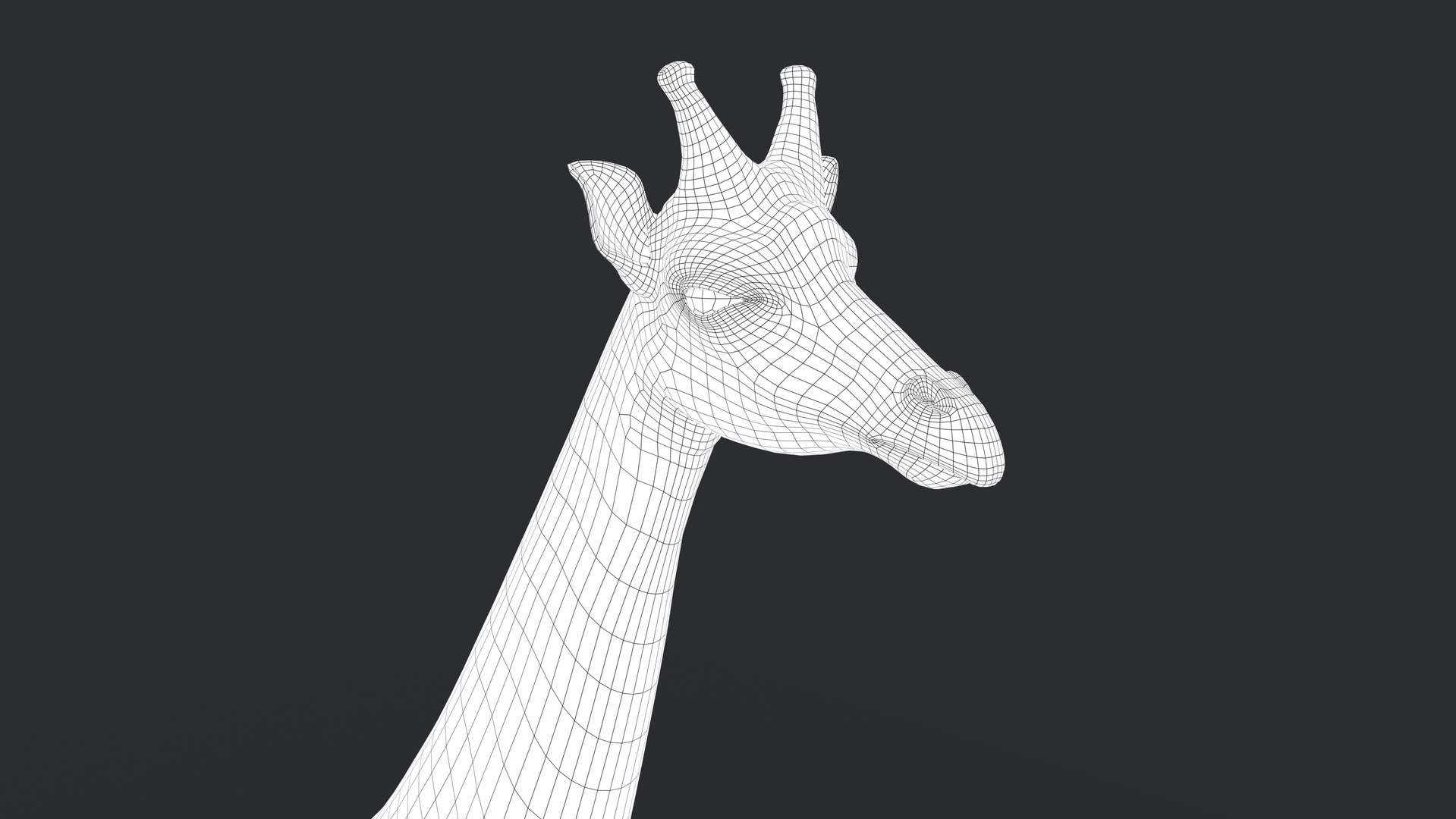 3D GIRAFFE XGEN-CORE ANIMATED - TurboSquid 2253818