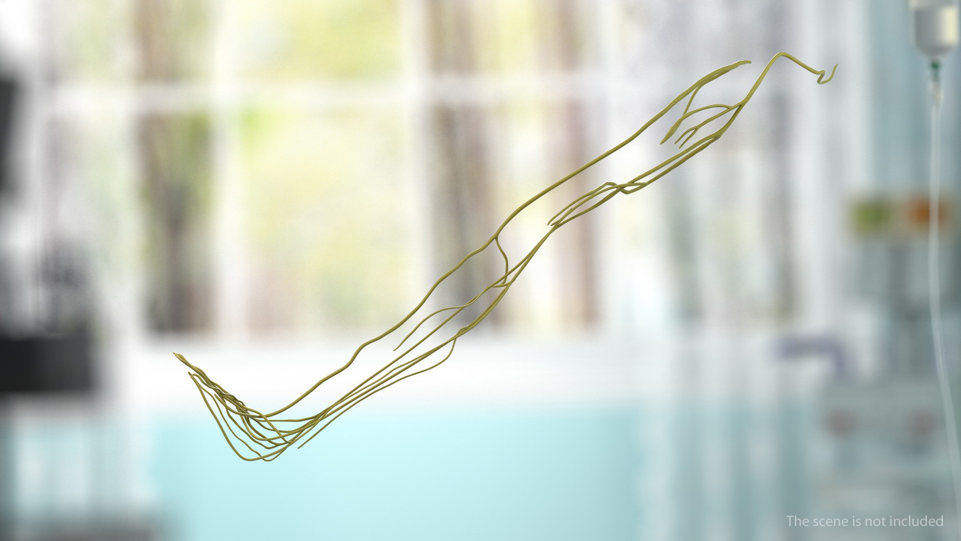 3D human leg nervous - TurboSquid 1459198