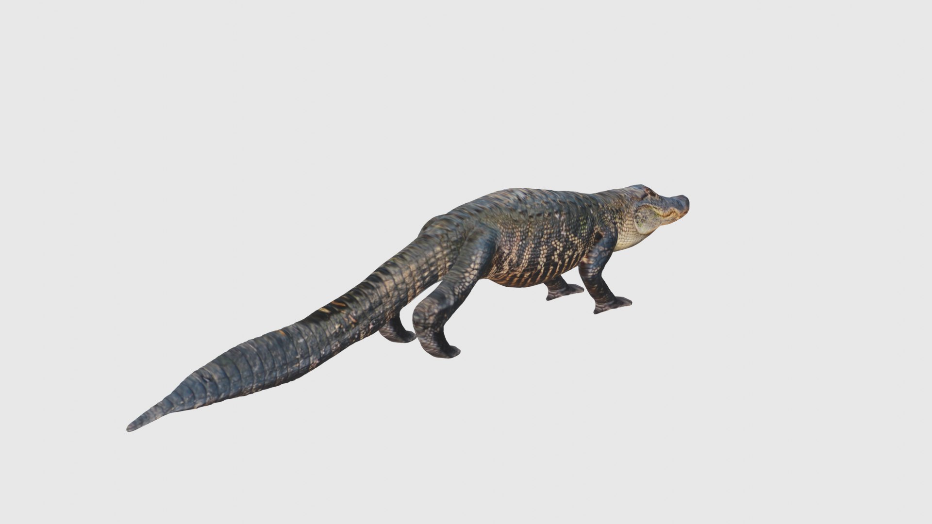 Low Poly Alligator Rigged With Realistic Texture 3D model - TurboSquid ...