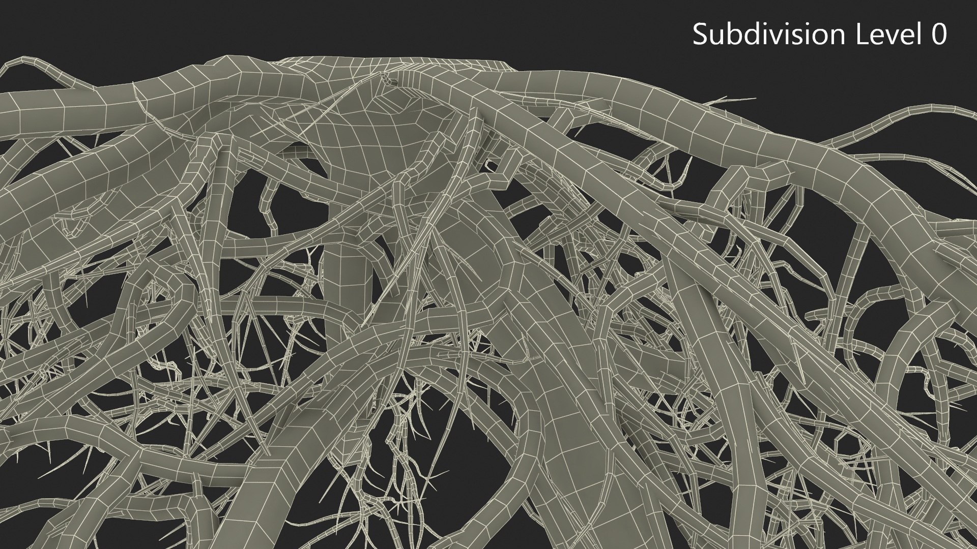 3D Roots Of Oak Model - TurboSquid 2324037