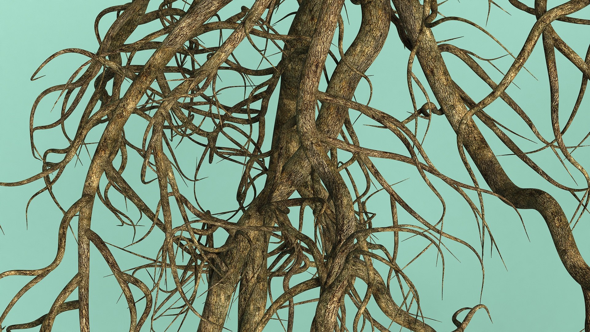 3D Roots Of Oak Model - TurboSquid 2324037