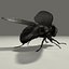 Housefly Animation Ma