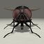 Housefly Animation Ma
