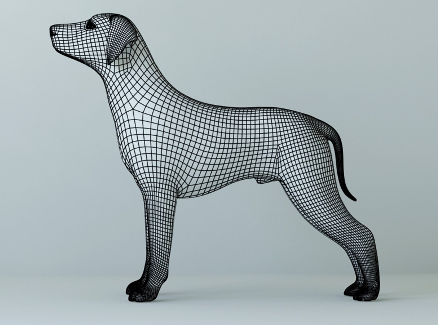 3d Dogs Unwrapped Model