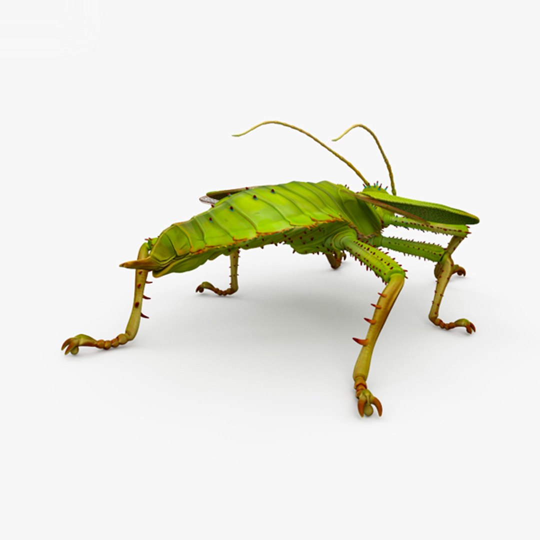 3D jungle nymph model - TurboSquid 1565220