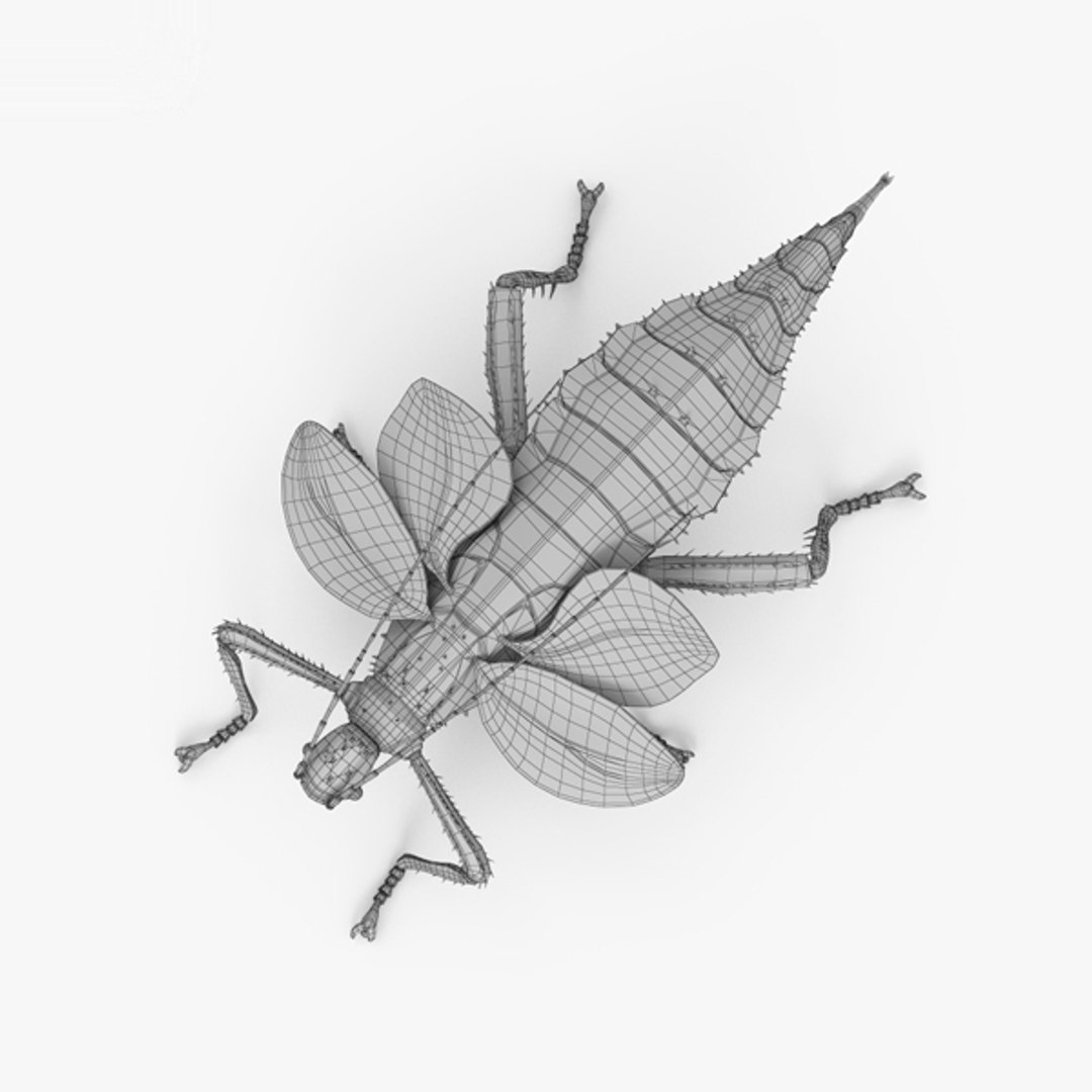 3D jungle nymph model - TurboSquid 1565220