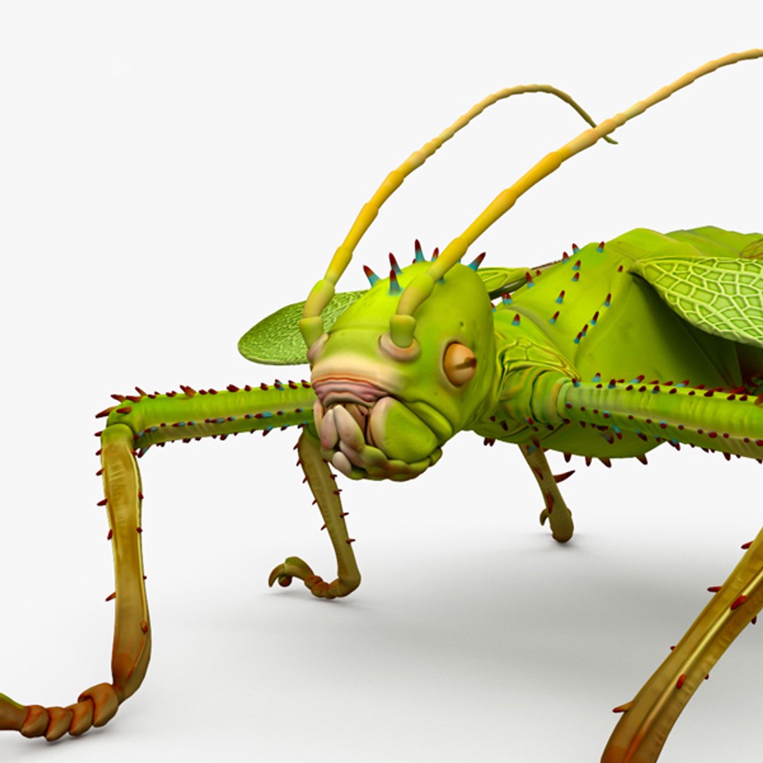 3D jungle nymph model - TurboSquid 1565220