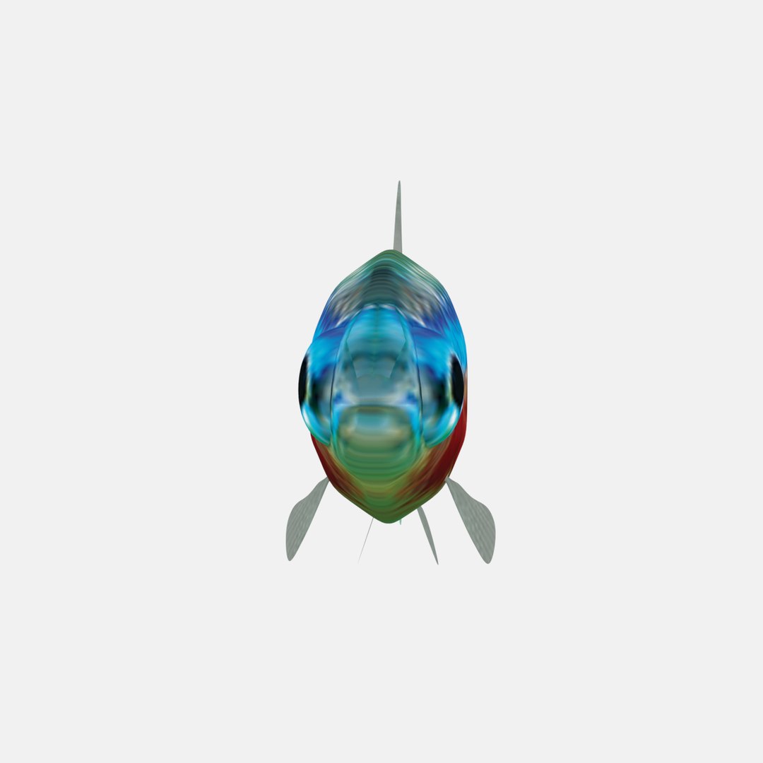 3D Cardinal Tetra - TurboSquid 1196611