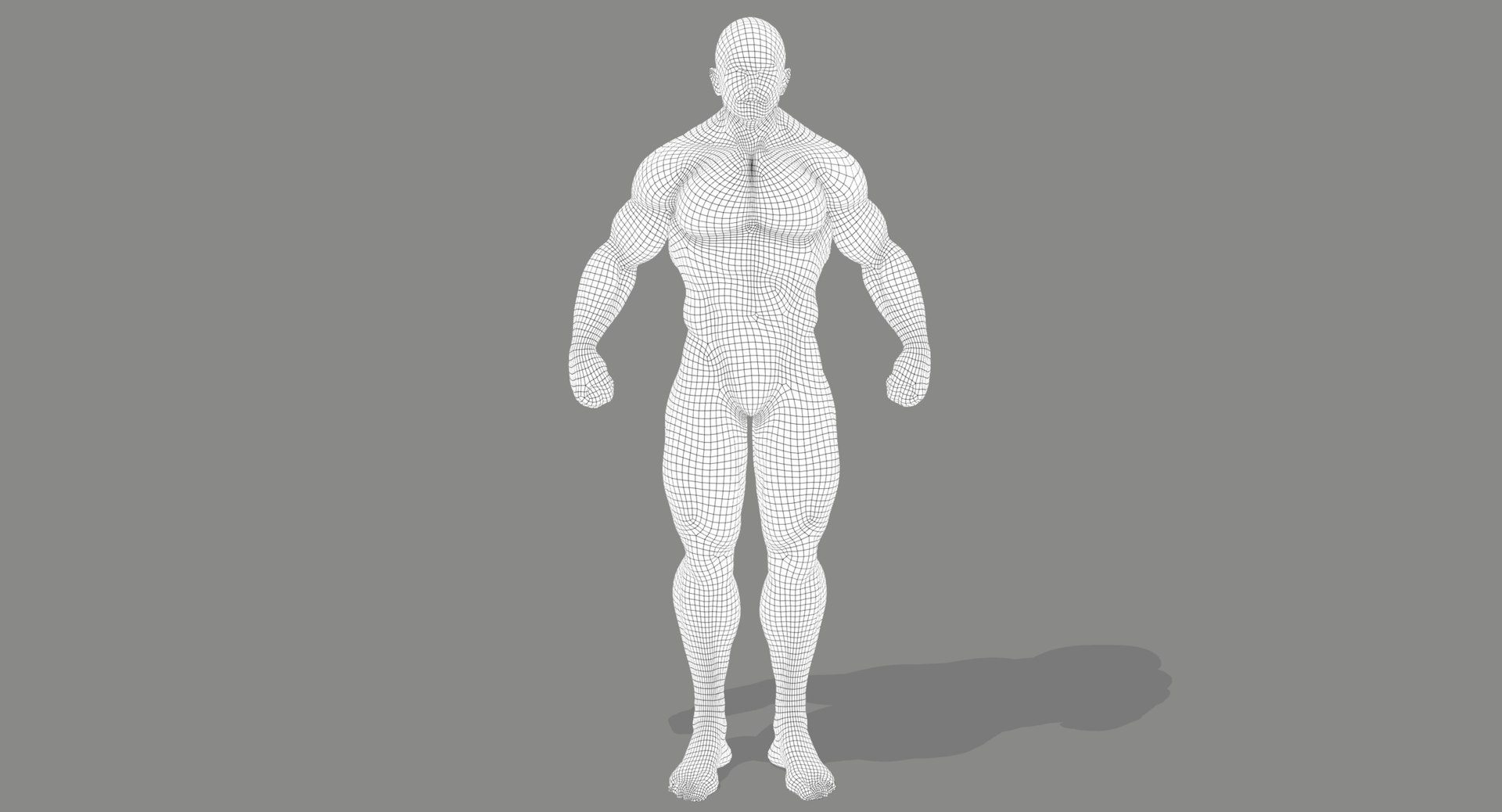 Muscle Anatomy Reference 3D Model - TurboSquid 1375971