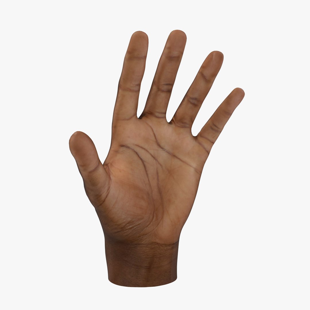 3d hand rigged poses skin
