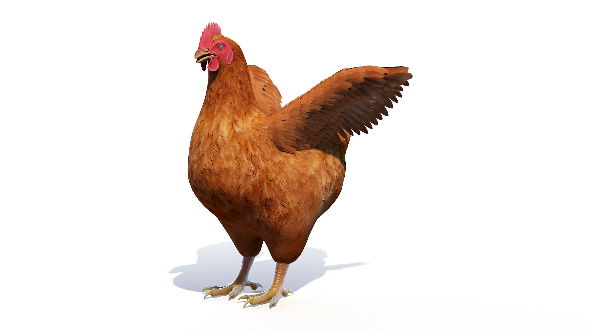 Chicken Body And Skeleton Static 3D Model - TurboSquid 1910414