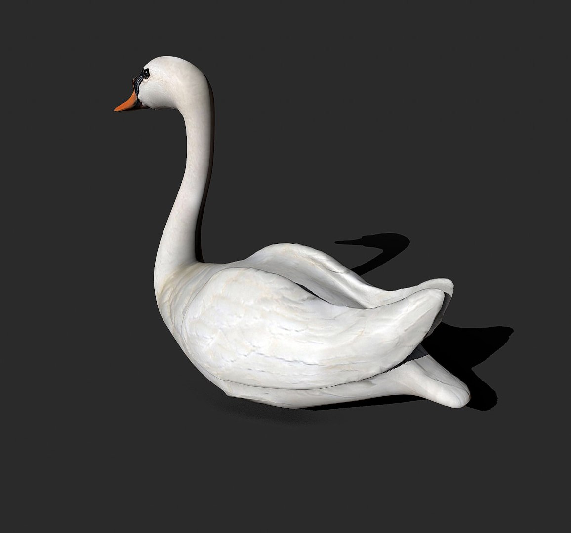 3D Swan - TurboSquid 1648859