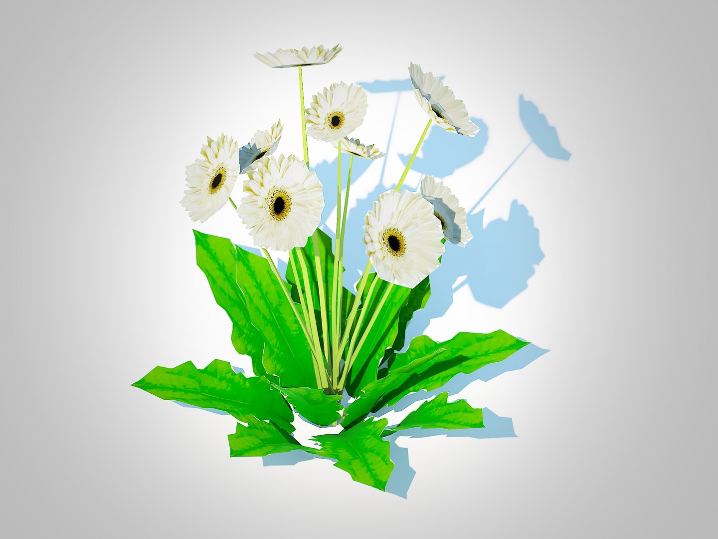 Gerbera - Gerbera DaisyWhiteFlower 3D Model - TurboSquid 2306846