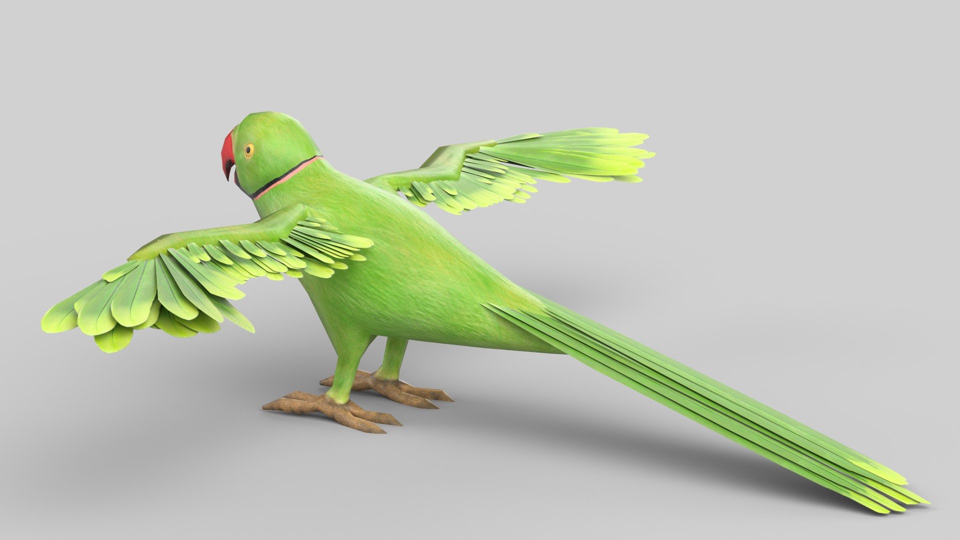 3D Model Parrot - TurboSquid 1958937