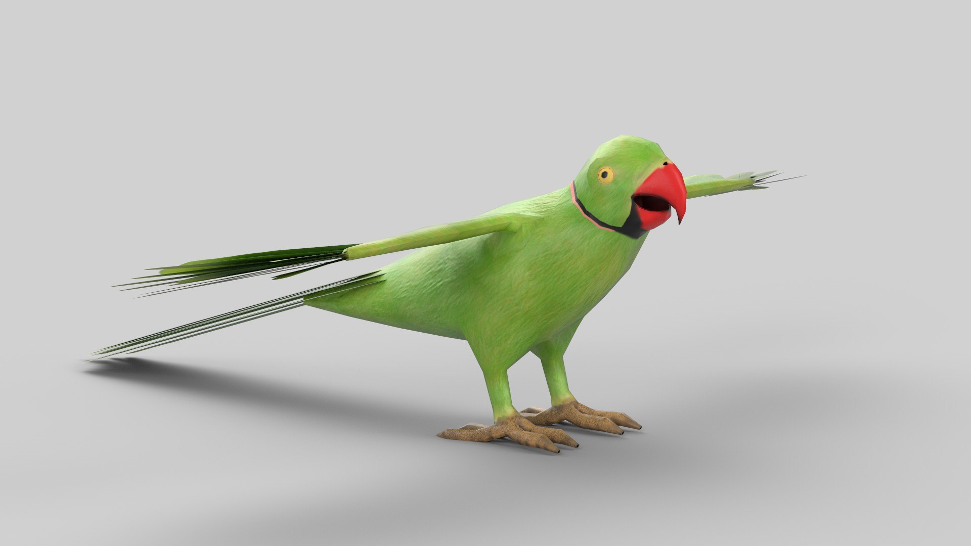 3D Model Parrot - TurboSquid 1958937