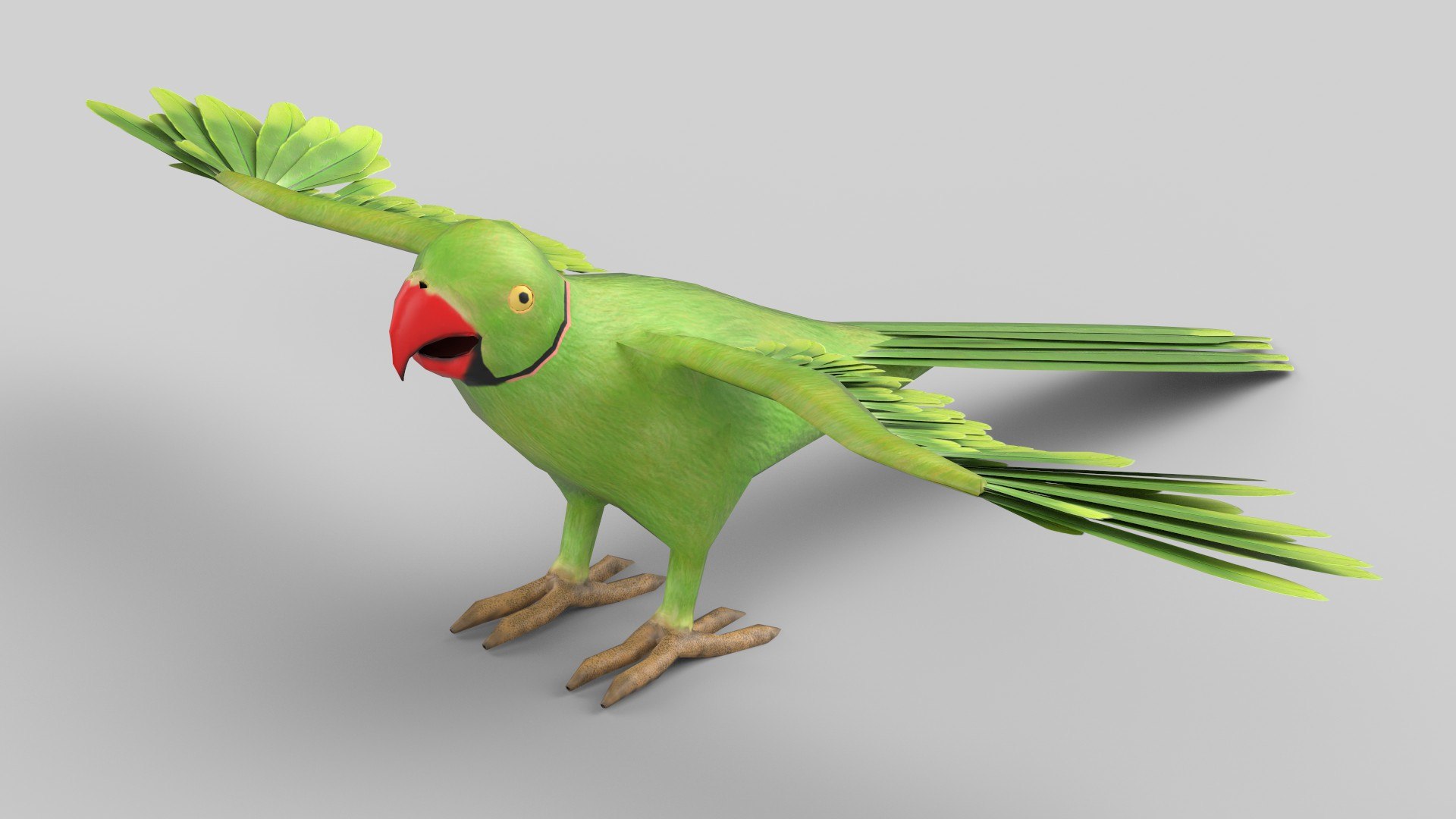 3D Model Parrot - TurboSquid 1958937