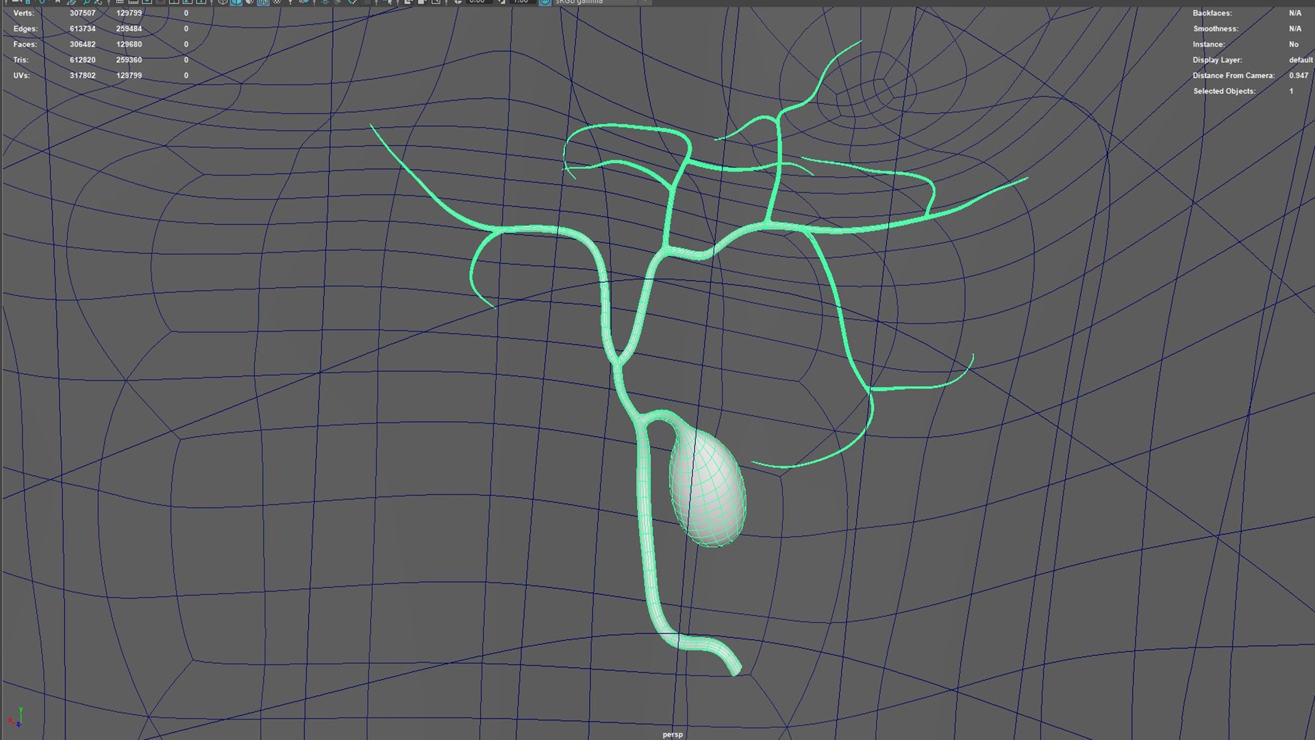 Human Natural Body With Gall Bladder Model - TurboSquid 1936137