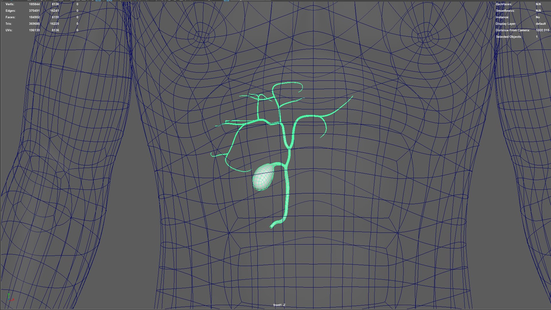 Human Natural Body With Gall Bladder Model - TurboSquid 1936137