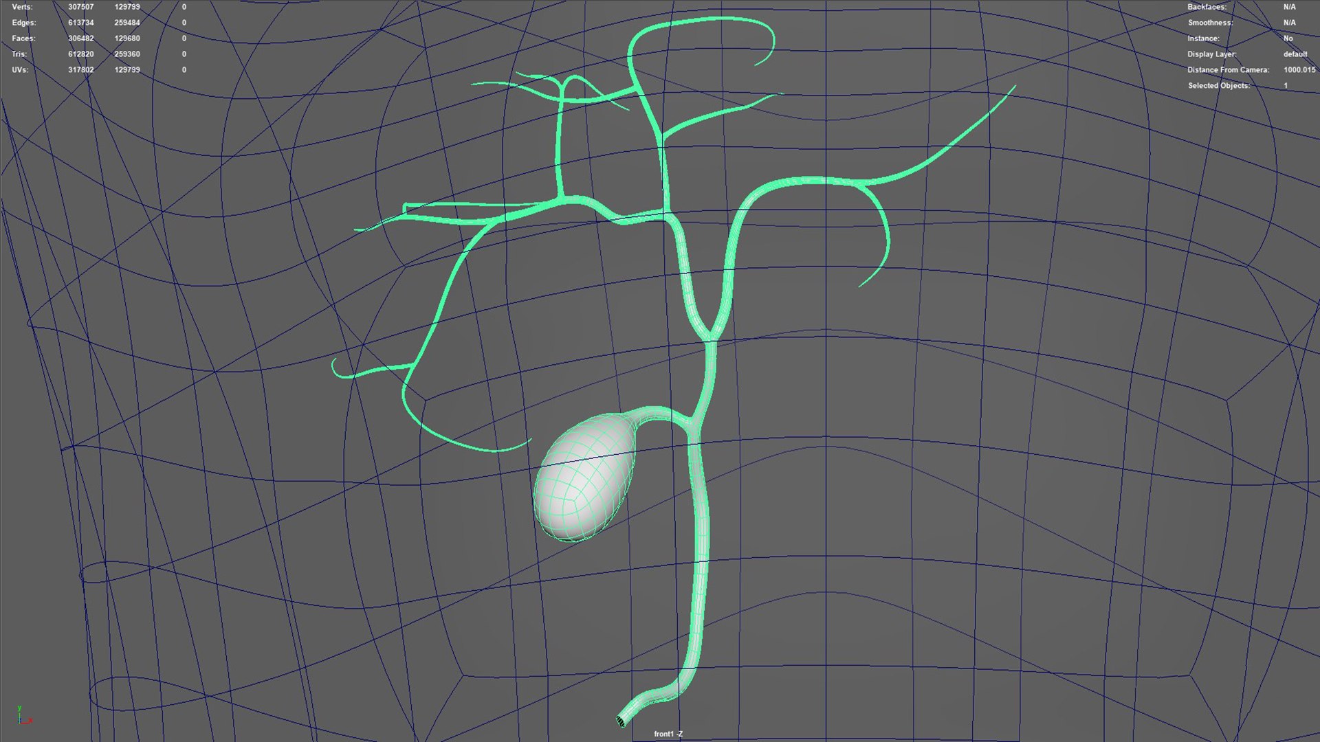 Human Natural Body With Gall Bladder Model - TurboSquid 1936137