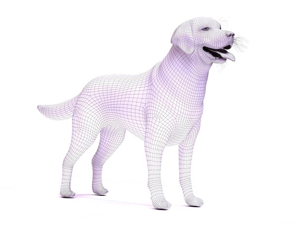 Golden retriever 3D model - TurboSquid 1879389