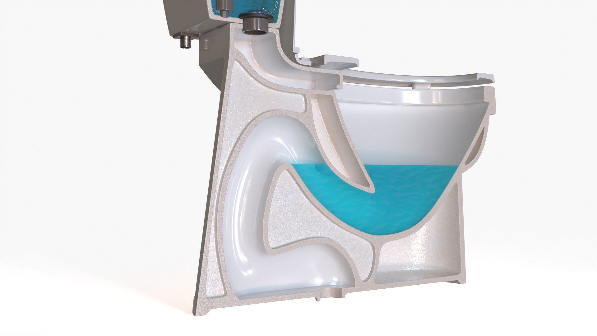 3D Toilet Cross Section Model - TurboSquid 2328256