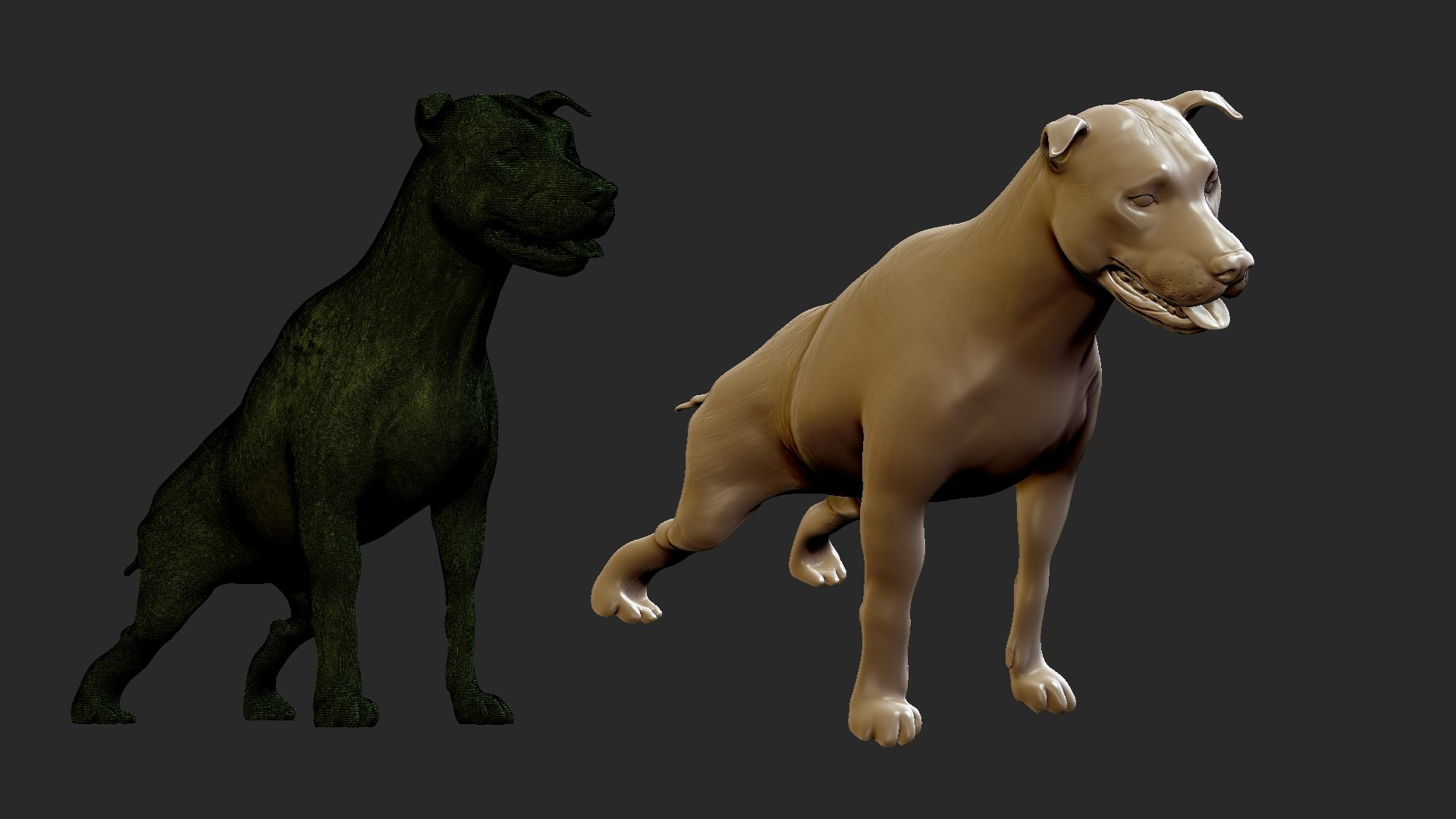 Pitbull 3D Model - TurboSquid 1697620