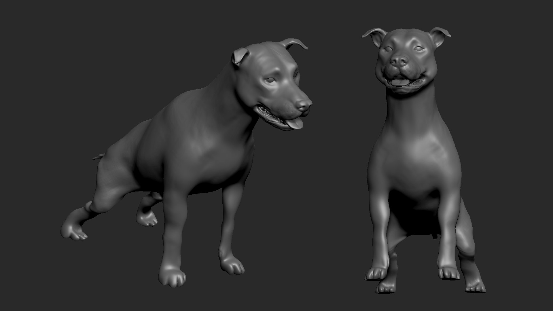 Pitbull 3D Model - TurboSquid 1697620