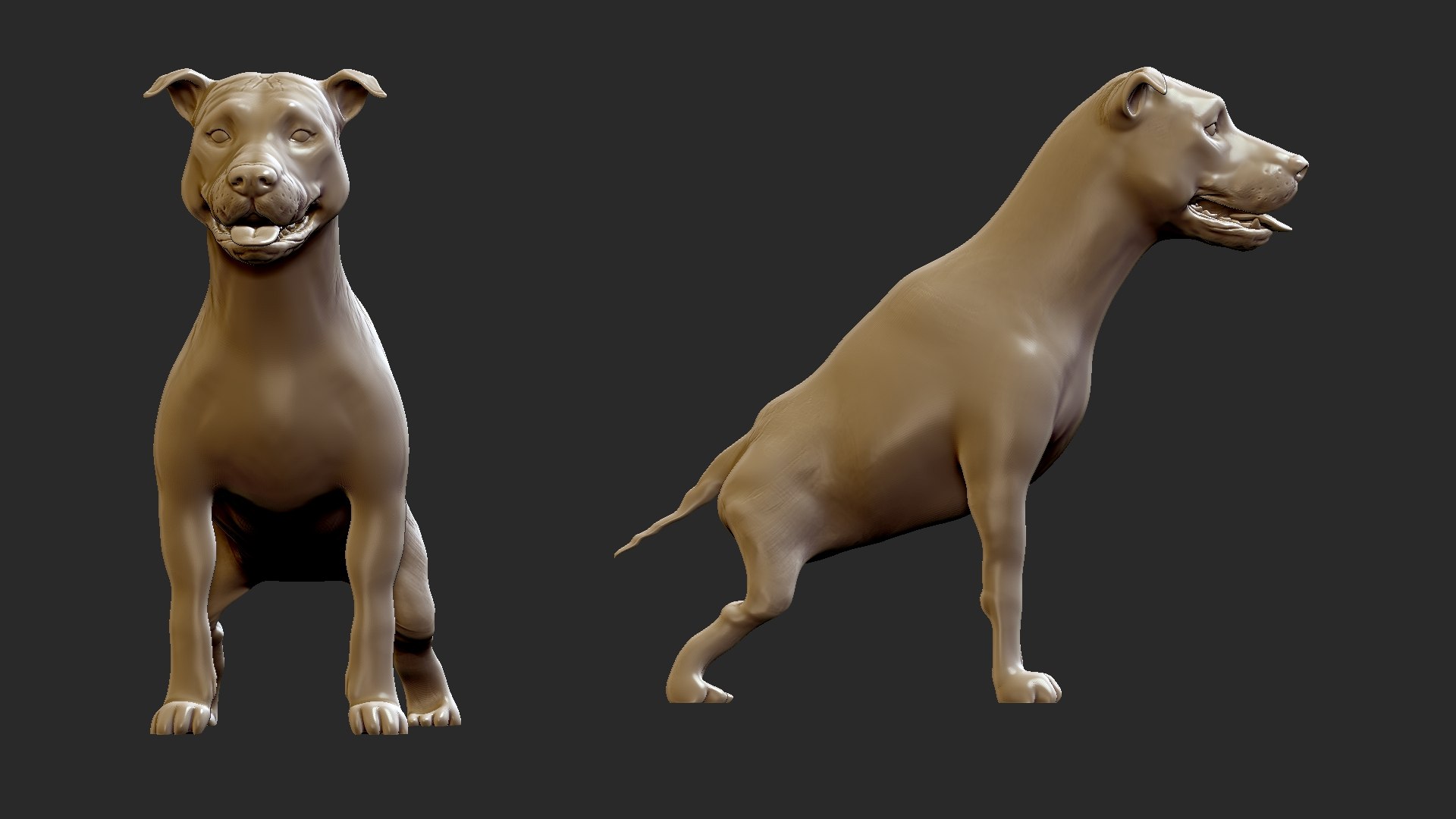 Pitbull 3D Model - TurboSquid 1697620