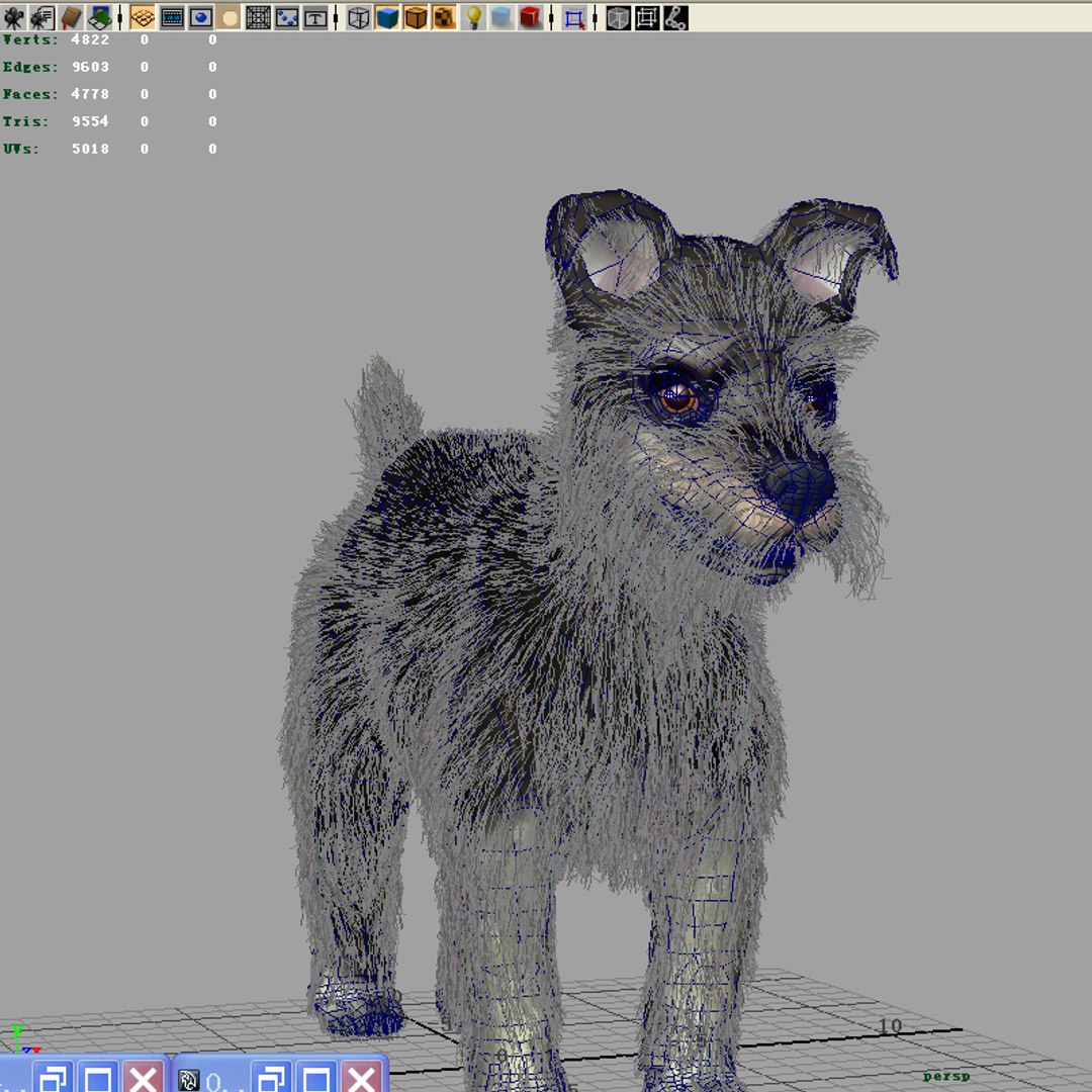 3d Animation Schnauzer Dog Model