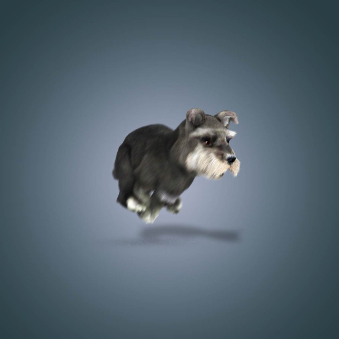 3d Animation Schnauzer Dog Model