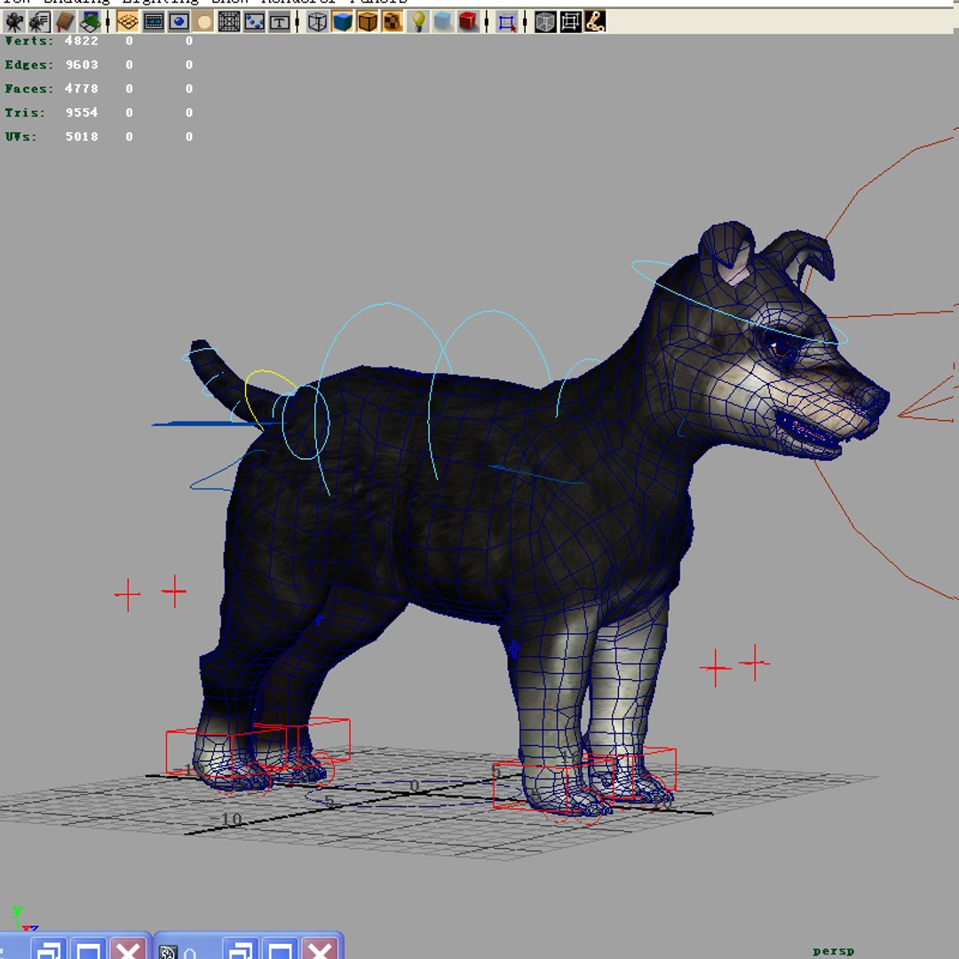 3d Animation Schnauzer Dog Model