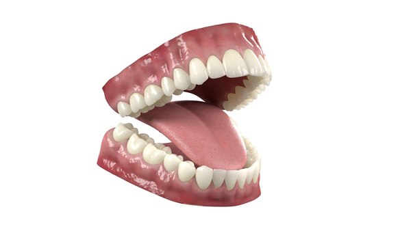 Tinker bell 3D model - TurboSquid 1502010