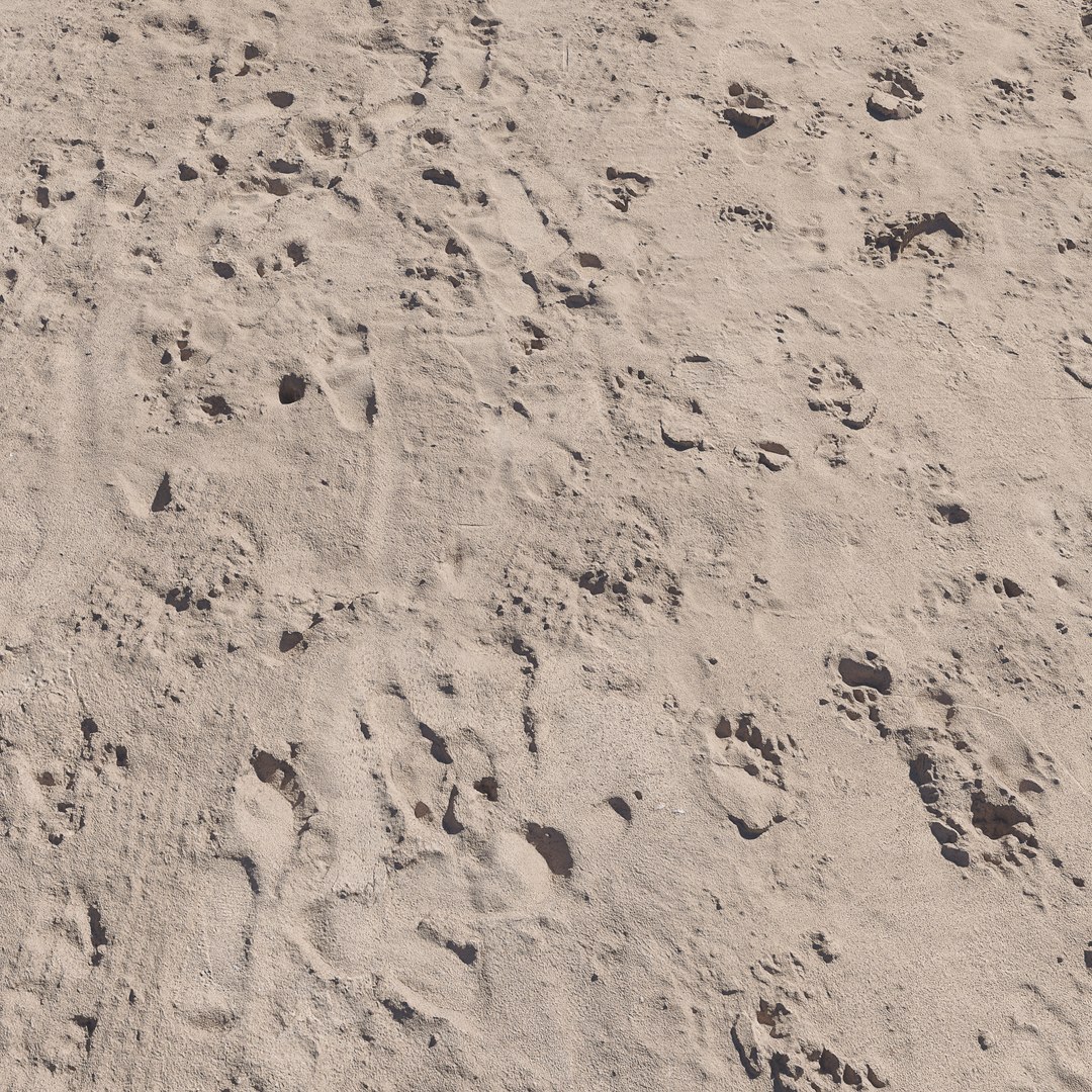 3D Ultra Realistic Beach Sand Model - TurboSquid 1400748