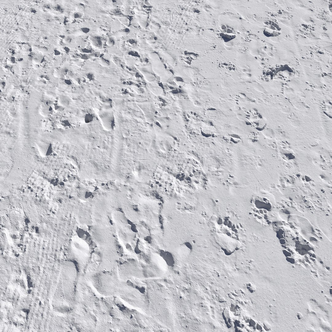 3D Ultra Realistic Beach Sand Model - TurboSquid 1400748