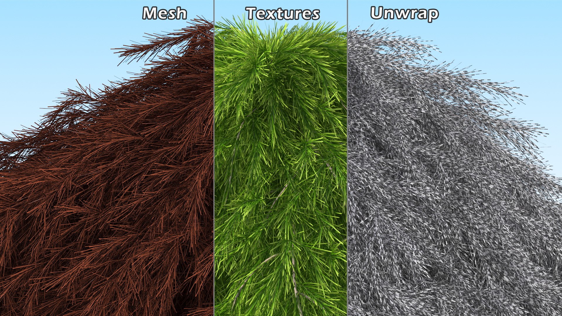 Acacia Cognata Mini Cog 3D Model - TurboSquid 1839408