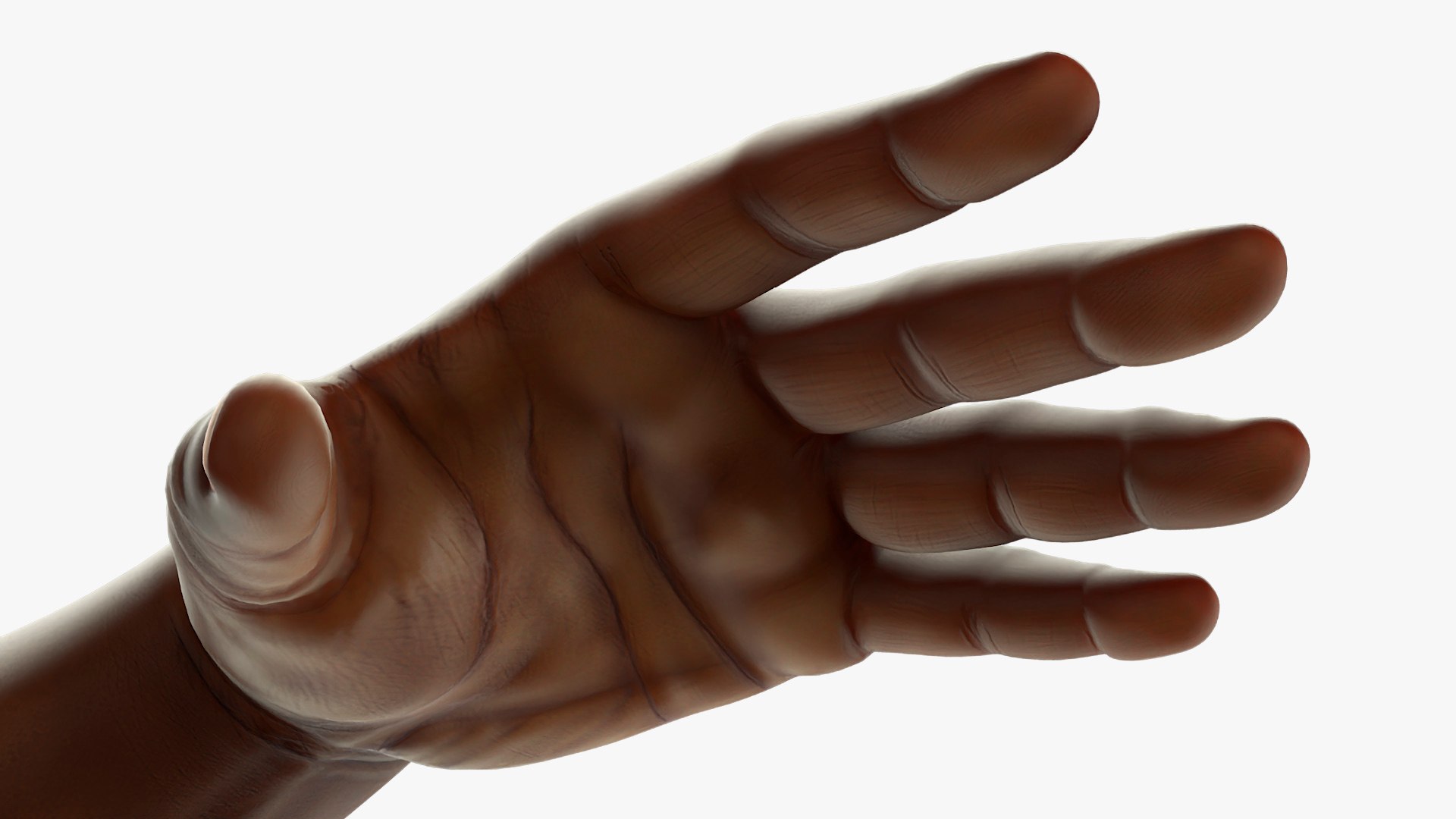 3D Realistic African Man Hands Rigged Model - TurboSquid 2384575